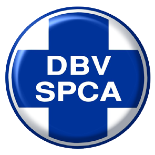 SPCA Grahamstown | Animal Rescue & Adoption in Grahamstown/Makhanda ...